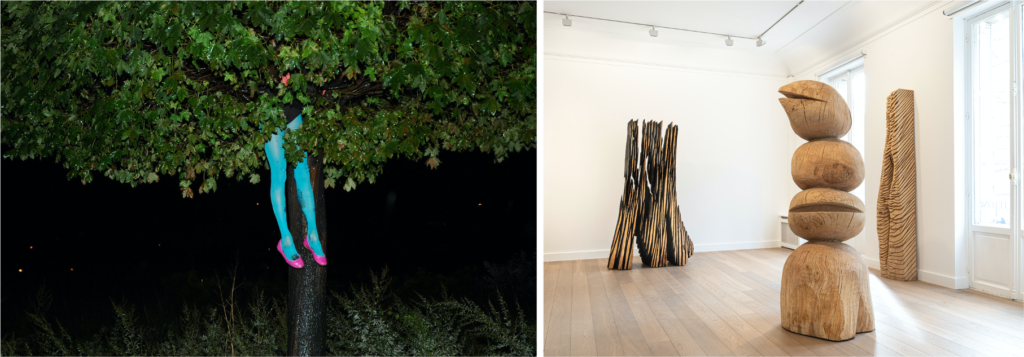 La forêt, un thème d’exposition qui se ramifie - Art of Change 21