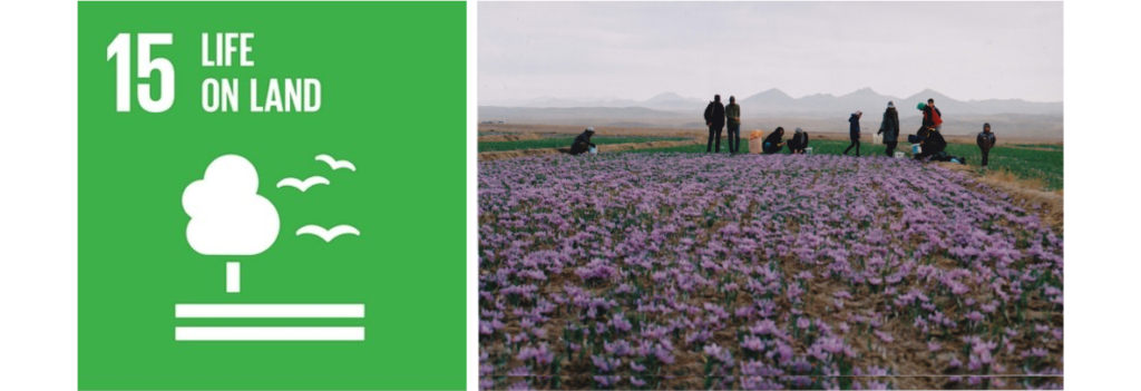 Un ODD, un projet Archives - Art of Change 21